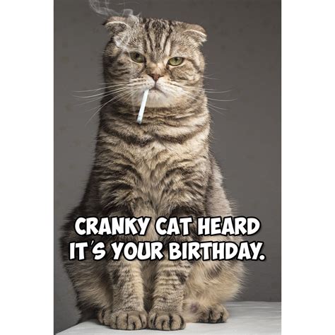 Cranky Cat Funny Birthday Card Cardmore