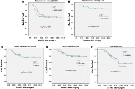 Kaplanmeier Curves For A Bladder Recurrence Free Survival B Local