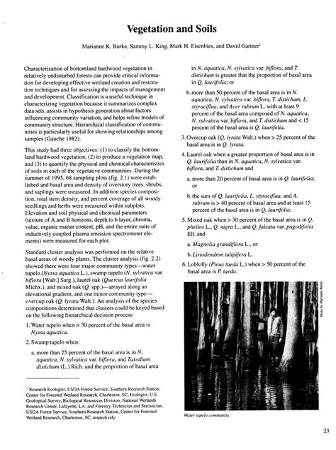 Pdf Vegetation And Soils