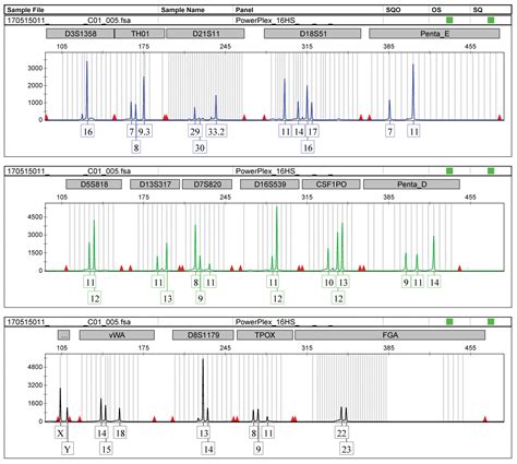 Raising The Bar Of Cell Line Authentication