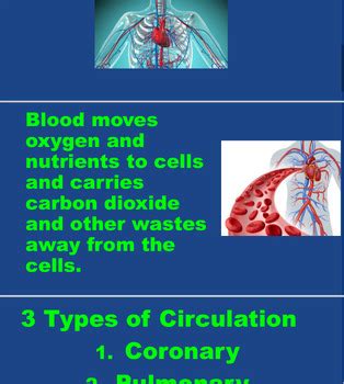 Bundle Notes Slides Cardiovascular Circulatory System TPT