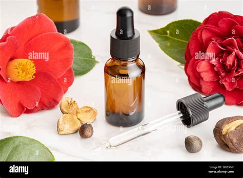 Camellia Essential Oil Camellia Flower Seeds And Oil Glass Bottle For
