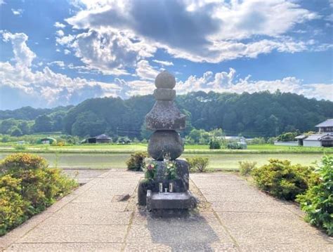 蘇我蝦夷入鹿親子の怨霊伝説 切り飛ばされた首が追いかけたのは 戦国ヒストリー