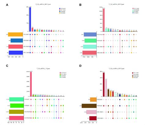 Upset Analysis Of Four Types Of Rna By Expression Level Screening