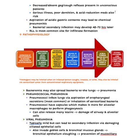 Pneumonia Nursing Notes Scholarly Nurse