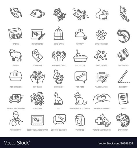 Big Set Outline Web Icon Set Pet Vet Royalty Free Vector