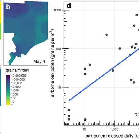 Modeled Pollen Release On Each Day Of The Oak Pollen Season And