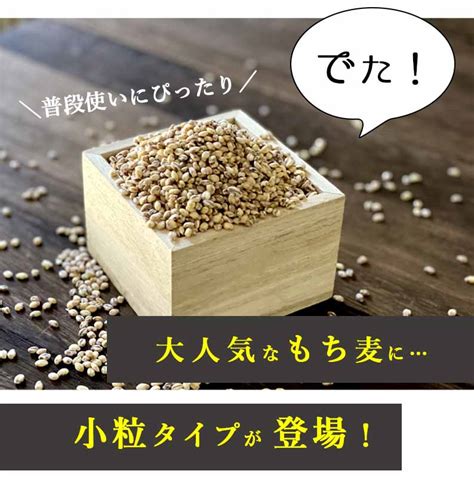 400g×2袋 小粒タイプ 国産ダイシモチ100 にっぽんのもち麦 桑郷 オンラインショップ