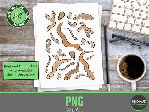 Planaria Clip Art Png Cute Worm Clip Art Illustrations Biology Clip Art Idea Png Stem Cell Life