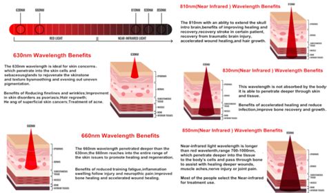 Infrared Red Light Therapy Torch Derma Roller Systems Sa