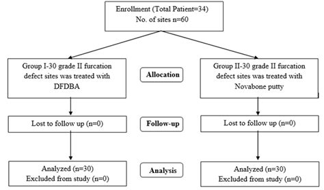 Maples Scientific Publisher Open Access Journals Peer Reviewed