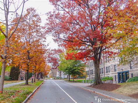 Fall Foliage In Princeton University Campus Travel Realizations