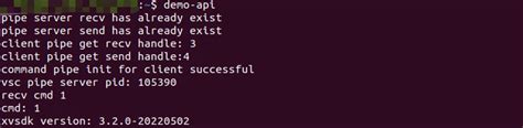 Xvisio Install Sdk Linux Cn