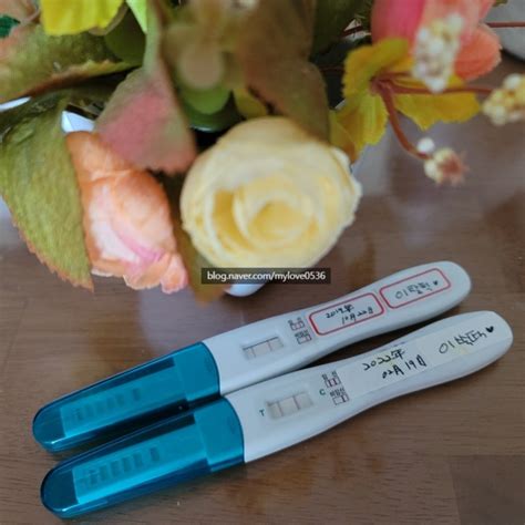 임신확정 받은 후 해야할일건강보험공단 관할 보건소 임산부 등록 임신바우처 신청 임산부 농산물 꾸러미 신청 네이버 블로그
