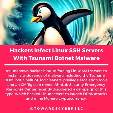 Jeanluck Ndato On Linkedin Cybersecurity Security Infosec Infosecurity Linux Ssh Ddos