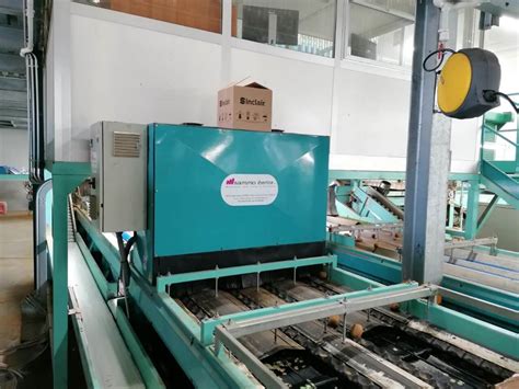 sammo 8 lines kiwi sorting line fruit graders