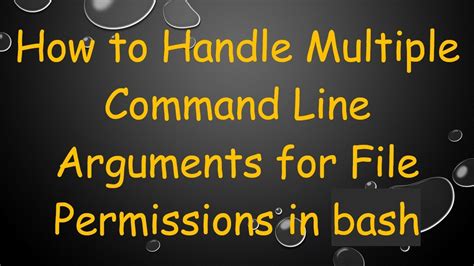 How To Handle Multiple Command Line Arguments For File Permissions In