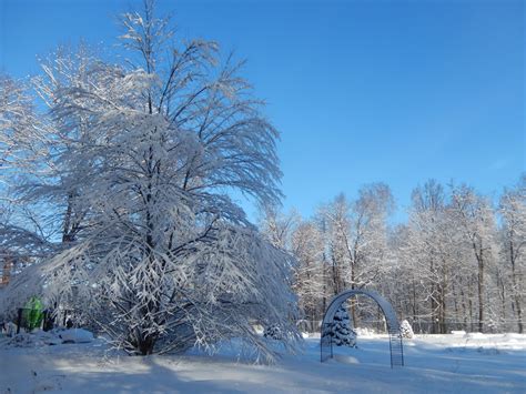 У природы нет плохой погоды... - Страница 64 - Другие темы - Форум ...