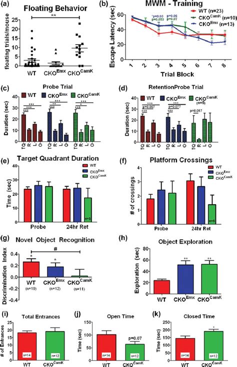 Fig Ure 3 Behavioral Assessment Of Spatial Memory Object Recognition Download Scientific