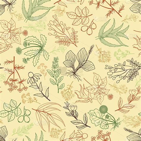 草本背景在手绘风格