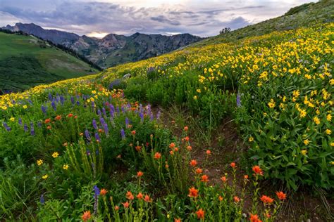 10 Best Landscape And Scenic Photos Of 2015 Clint Losee Photography