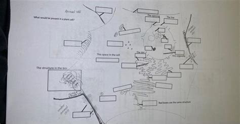 Label The Digram If Possible Start In Top Left With