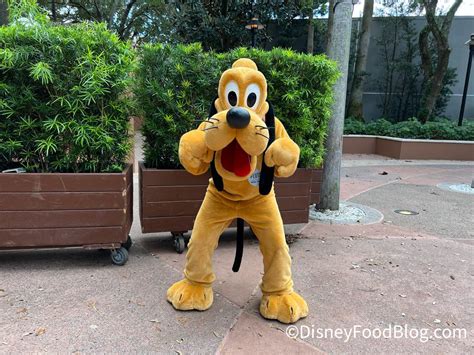 What Happens When Disney Doesnt Own Pluto Anymore The Disney Food Blog