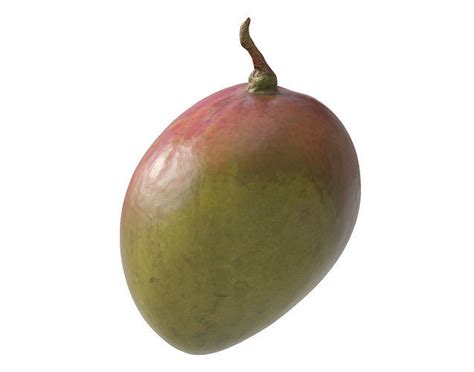 Mango 3d Model Cgtrader