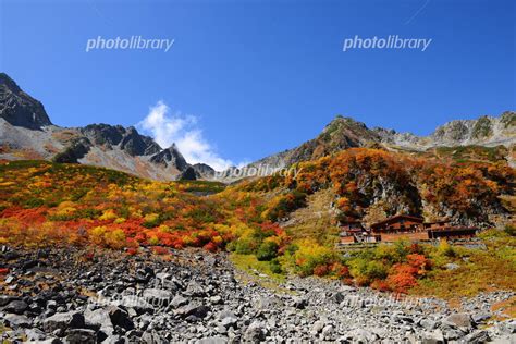 Photolibrary