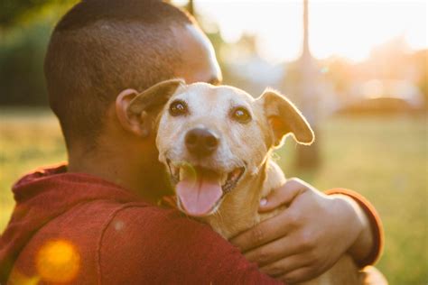 Benefits Of Owning A Pet According To Science Reader S Digest