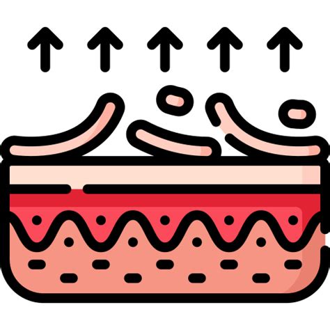 Dead Skin Special Lineal Color Icon