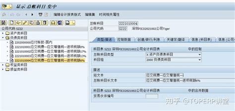 Sap Fi Ap后台配置（bp税付款条件特殊总账 备选统御） 知乎