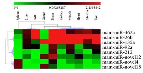 Heat Map Showing The 8 Differentially Expressed Mirnas Expression Download Scientific Diagram