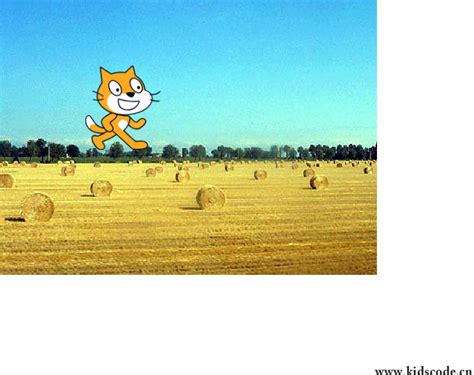 猫捉老鼠少儿编程网