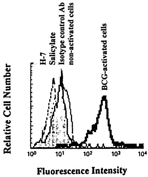 Down Regulation Of Cd40l Expression On Bcg Activated Cells By The Pkc