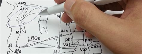Cephx Online Ceph Tracing And Analysis