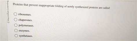 Solved E Proteins That Prevent Inappropriate Folding Of Chegg