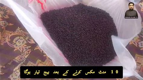 کپاس کے بیج کی کاشت کے لیے تیاری Youtube