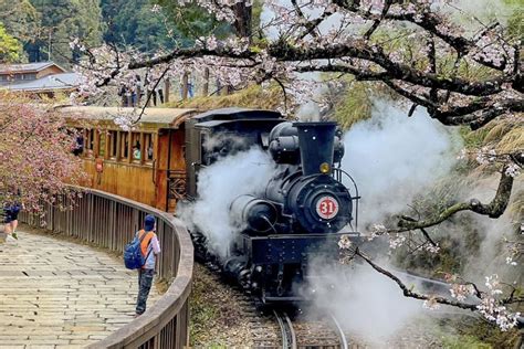 阿里山賓館推櫻花限定主題房、日式和服體驗 蒸汽火車即將開放訂票 蕃新聞