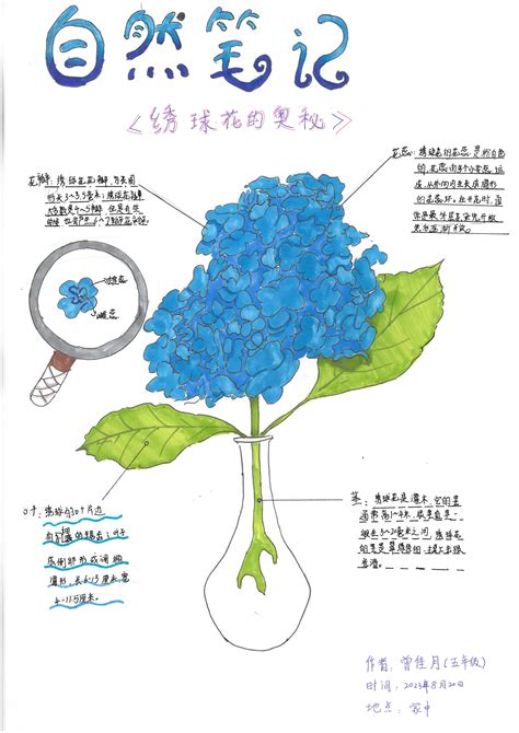 自然笔记 美丽中国我是行动者湖南2023年青少年自然笔记展示1