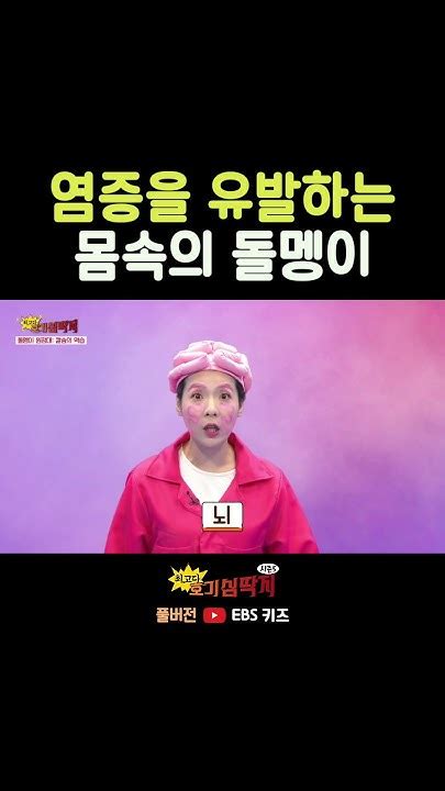 몸속에 염증을 유발하는 돌멩이가 있다 🪨 Youtube