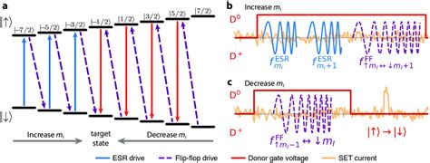 Fig S7 Nuclear Spin Initialization Scheme Using Flip Flop