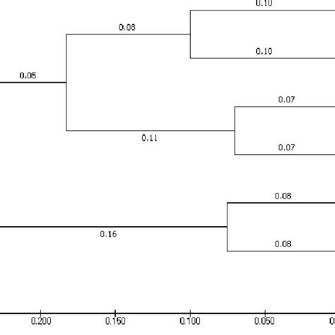 Unweighted Pair Group Method With Arithmetic Mean Upgma Tree Of Six Download Scientific