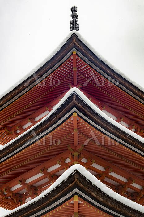 京都府 雪の清水寺 子安の塔 194097565 の写真素材 アフロ