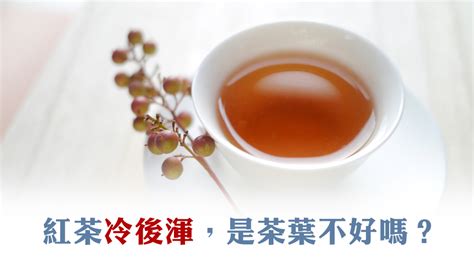 紅茶冷卻後變得渾濁是茶葉不好嗎 班長聊天室談談茶葉 六年二班茶班長