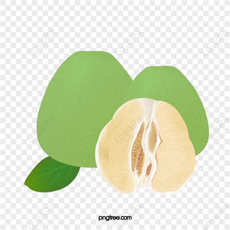 달고 신선한 유자 잎과일푸른 유자 Png 일러스트 무료 다운로드 Lovepik