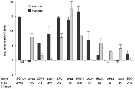 The Data Are Averaged Values For Four Biological Replicate Samples ± Download Scientific