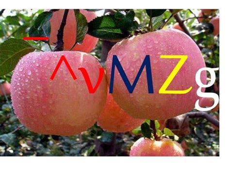 Accounting Chapter 10 Lecture 04 Pptx