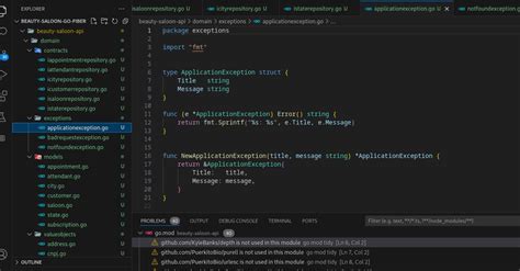 lester cerioli on linkedin exceptions go golang