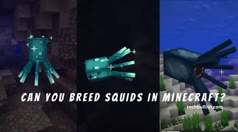 Can You Breed Squids In Minecraft Answered